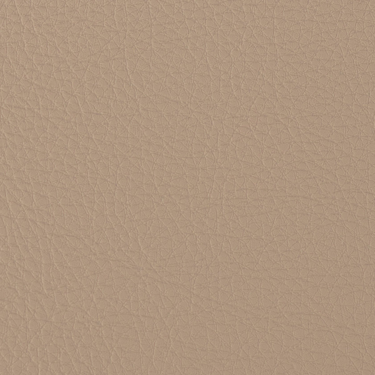 Prodigy Vinyl - J&J Supply Inc.