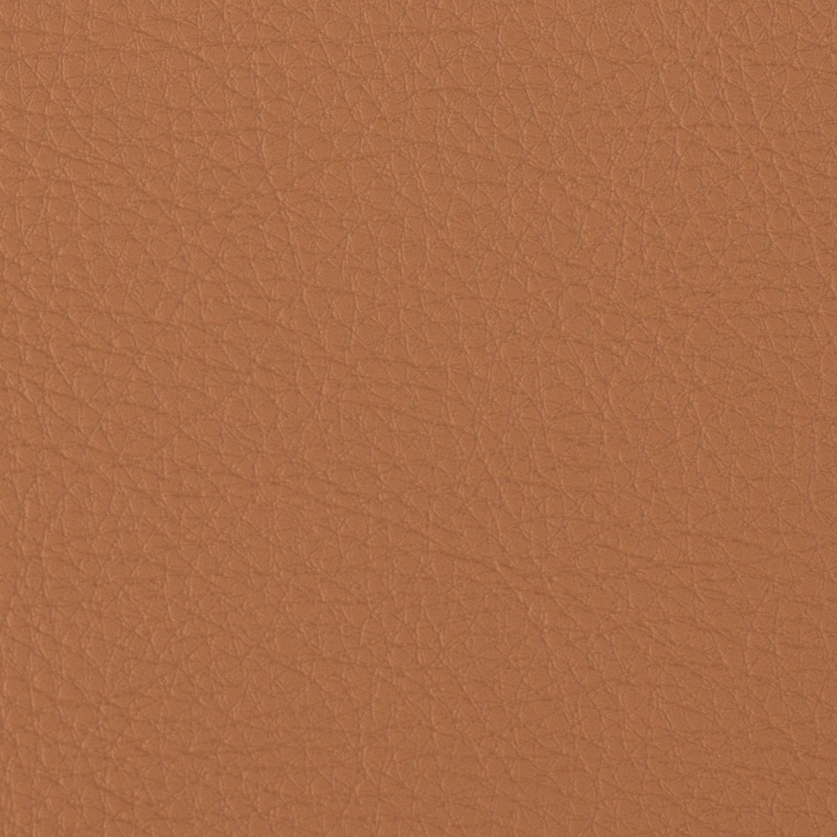 Prodigy Vinyl - J&J Supply Inc.