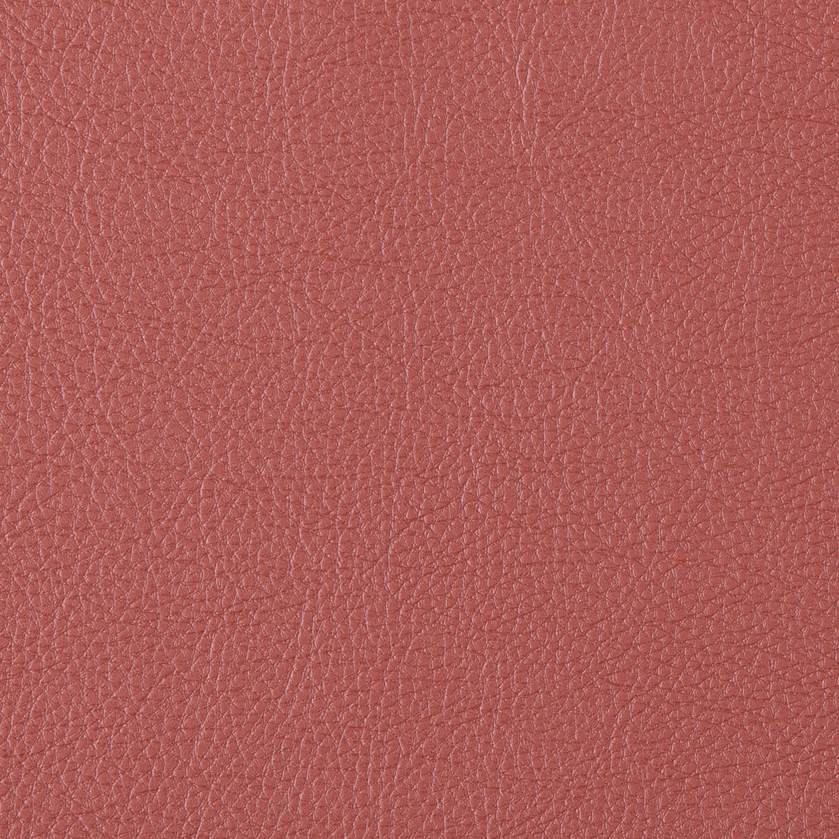 Prodigy Vinyl - J&J Supply Inc.